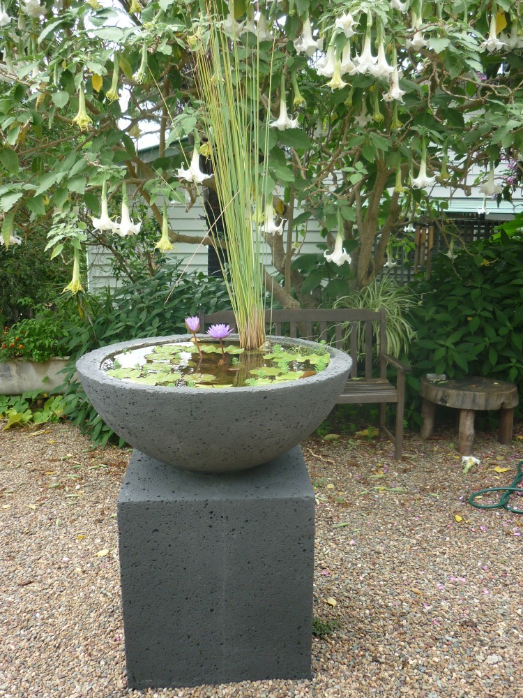 Potanico .... Contemporary Pots