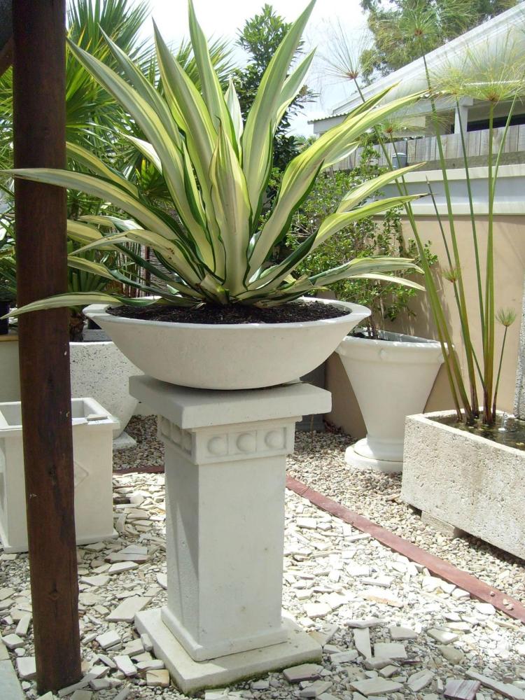 Potanico .... Contemporary Pots