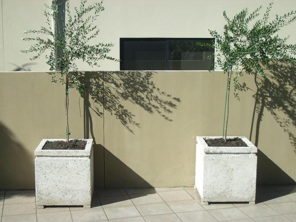 Potanico .... Contemporary Pots